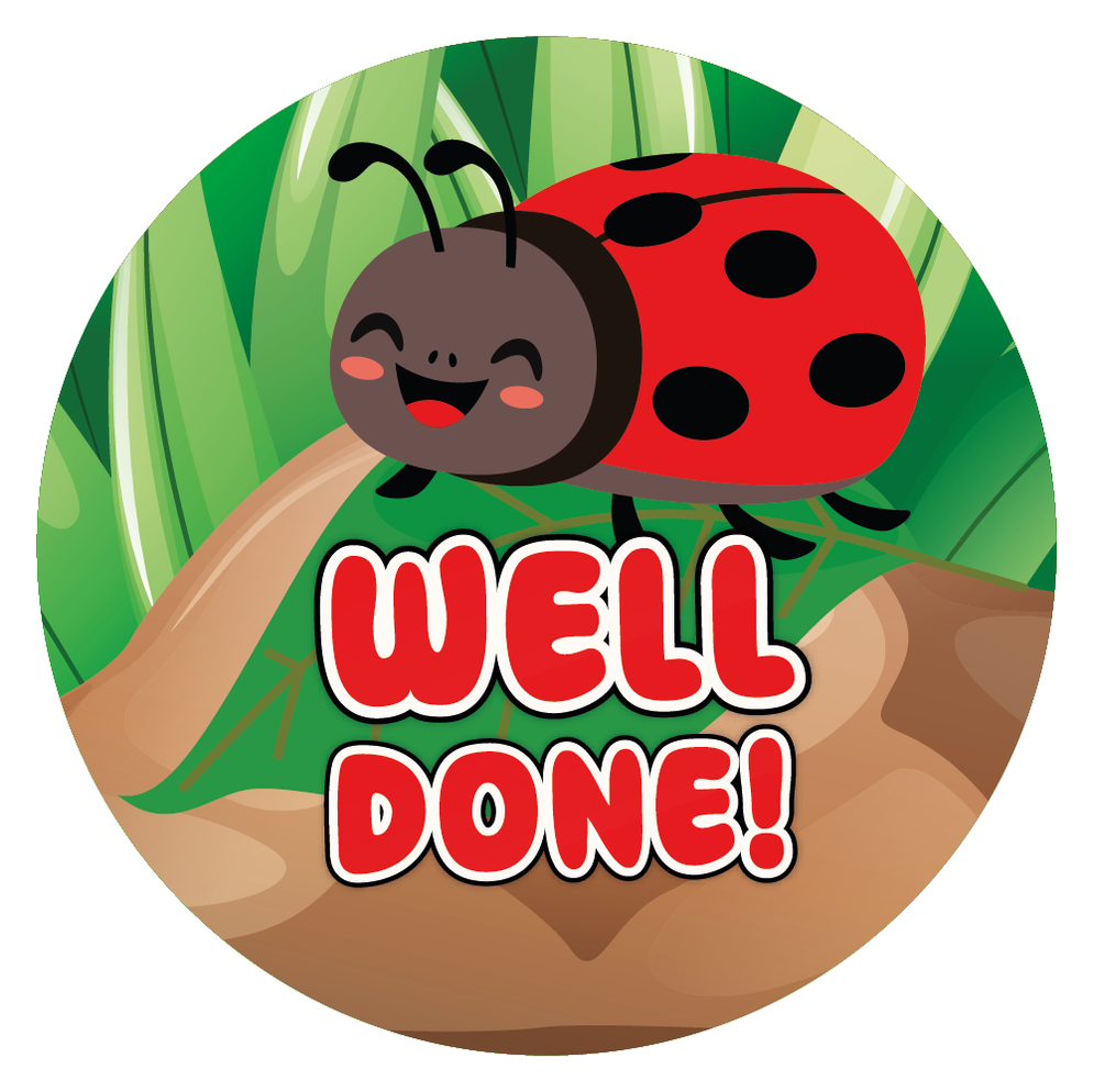 Ladybird Praise Words Reward Stickers — MyClassroom